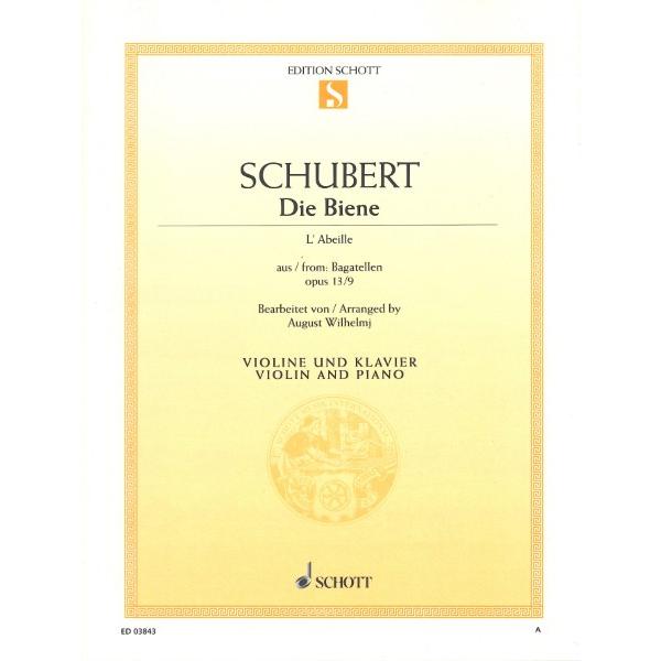 （株）テーヌ商会 【49008738】