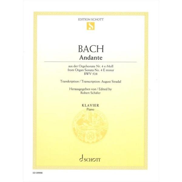 SCHOTT ショット(P) 【SCHE71】