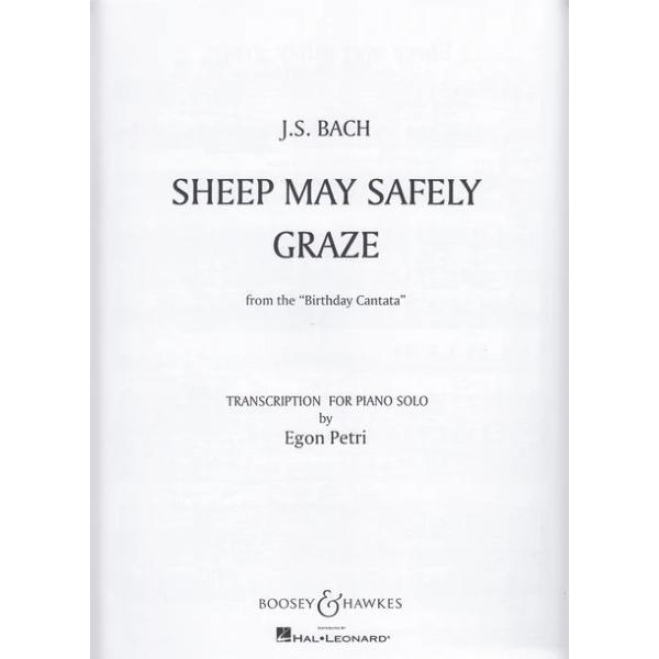 BOOSEY&amp;HAWKES ブージー&amp;ホークス(P) 【BHNA45】