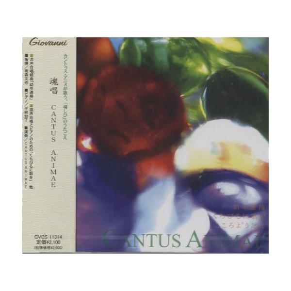 （有）アールミック 【GVCS11314】