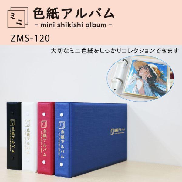 テージー 【ZMS-120-02】