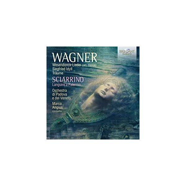 BRILLIANT CLASSICS 【BRL-96119】