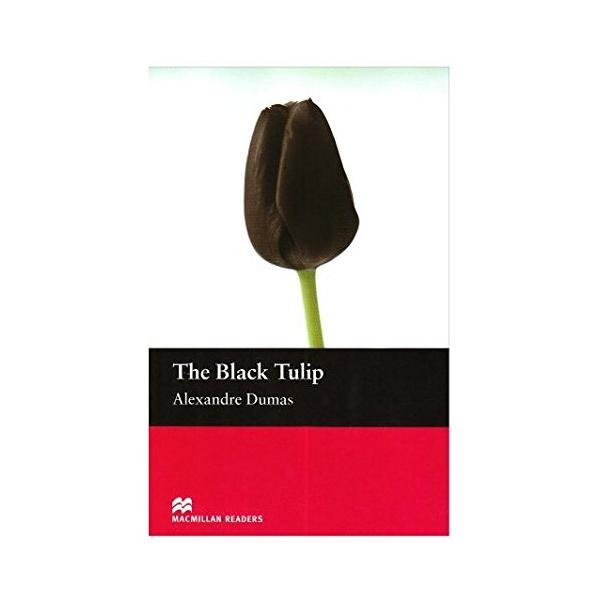 マクミランエデュケーション（ＪＰＴ）  マクベスからジェームズボンドまで、180以上の幅広いストーリーを取り揃えたリーダーシリーズです。古典やフィクション、ノンフィクション、CD付きタイトルやeBookなど、学習者に合わせて選ぶことが出来ま...