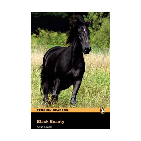 ピアソン・ジャパン（ＪＰＴ）  世界最大規模のタイトル数を擁するピアソンのグレイデッドリーダーズ。映画タイトルから古典、伝記、童話、ノンフィクションにいたるまで、各レベルに特色のあるタイトルを揃えています。多読授業をはじめ、英語副教材として...