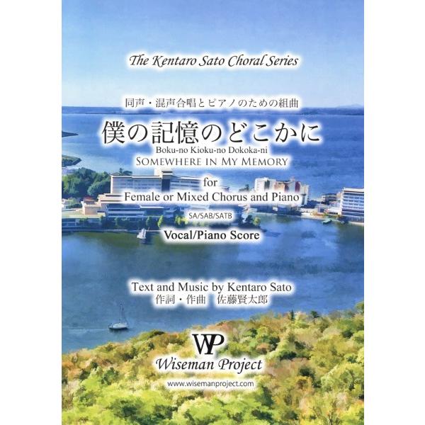 WISEMAN PROJECT 【GZSTKPC】