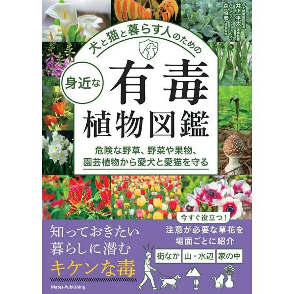 株式会社メイツユニバーサルコンテンツ 【3154】