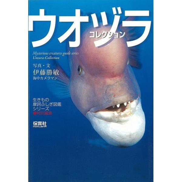 生きもの摩訶ふしぎ図鑑シリーズ（バーゲンブック） ウオヅラコレクション-生きもの摩訶ふしぎ図鑑シリーズ著作：伊藤 勝敏 出版社：保育社発行日：仕様：四六判対象：一般向『どっこい生きてる、ゴミの中』の伊藤勝敏氏がおくる生きもの摩訶ふしぎ図鑑シ...
