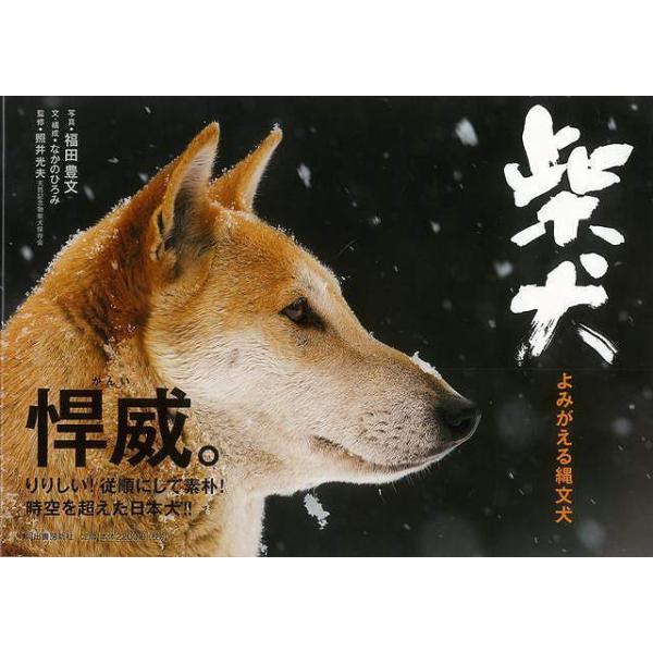 （バーゲンブック） 柴犬 よみがえる縄文犬著作：なかの ひろみ 出版社：河出書房新社発行日：仕様：B5判対象：一般向太古の時代より、狩猟を支え、また家族の一員として愛され、私たち日本人と共にずっと生きてきた「縄文柴犬」。現代の一般的な柴犬に...