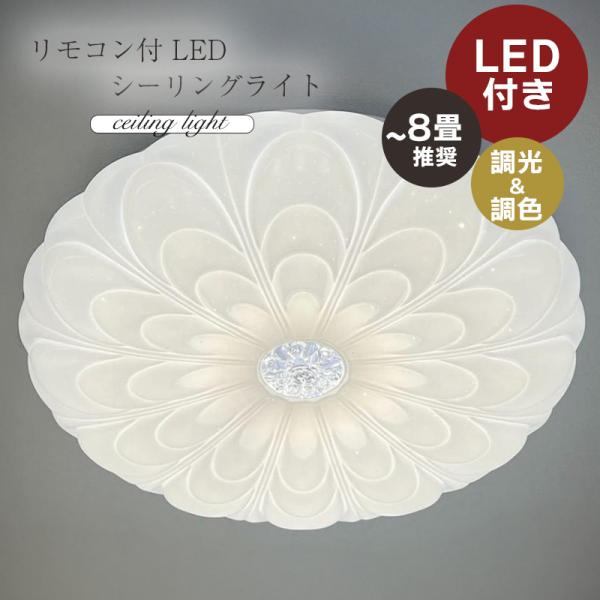 【発売日：2026年06月13日】