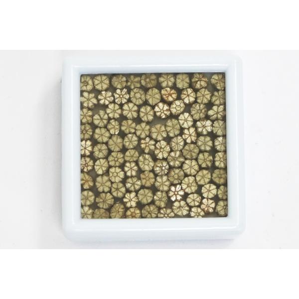 ケースサイズ　4cm四方　菫青石の双晶が雲母化した石です。柱状で産出されますが、どこを折っても桜のような花弁模様が出ます。　ケース入り京都府亀岡市産