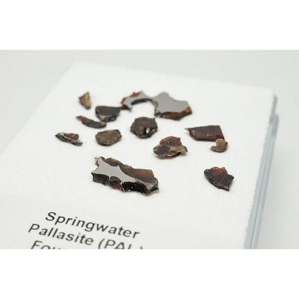 12ピース入り、最大ピースの幅約1.8cm 2.66g　スプリングウォーター隕石は1931年にカナダで発見された歴史あるコレクター的価値が高い隕石です。鉄とニッケルの鉄の中にグリーンのカンラン石が入ったパラサイト隕石になります。※ロジウムな...