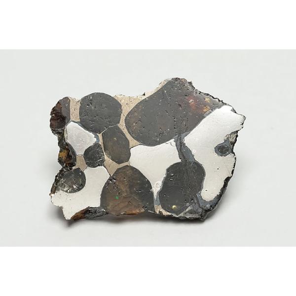 サイズ約2.0×1.5×0.18cm 1.74g　スプリングウォーター隕石は1931年にカナダで発見された歴史あるコレクター的価値が高い隕石です。鉄とニッケルの鉄の中にグリーンのカンラン石が入ったパラサイト隕石になります。※ロジウムなどのコ...