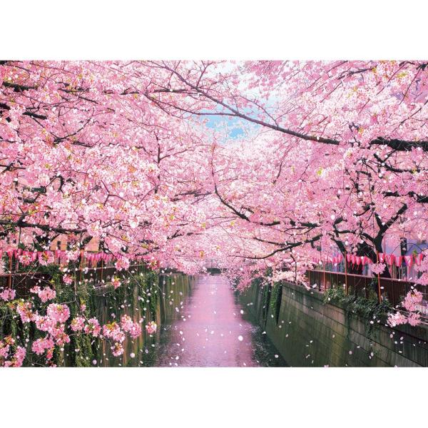 ピース数：600ピースサイズ：53×38cmパネルNo.：054