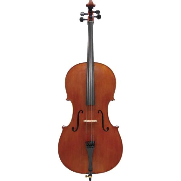 各弦のバランスや音の立ち上がりの良さなど、弾きやすさに重点を置いた、これからの買い替えや最初の1本に最適な楽器です。