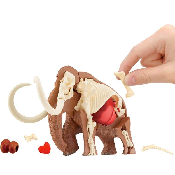 解体(かいたい)パズル・サイエンスシリーズ第3弾！遊びながら学べ「マンモスを復元(ふくげん)できるパズル」です。ばらばらの37パーツを組んでマンモスを完成させよう！見る角度(かくど)で生体(せいたい)と骨格(こっかく)、2つの復元モデルを楽...