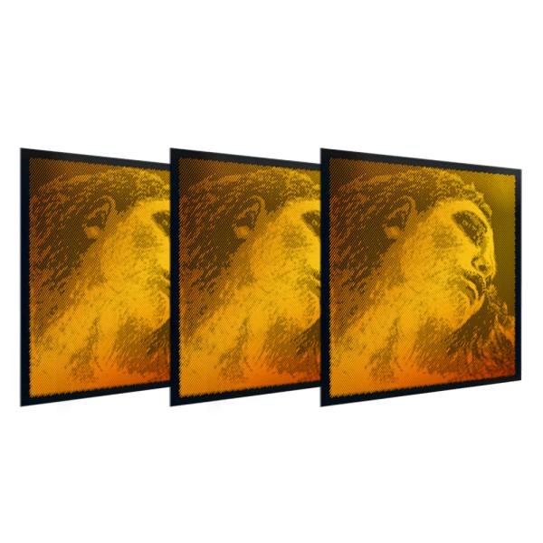 ・サイズ：4/4・セット弦：A(4152),D(4153),G(4159)A(4152)弦材質：アルミニウムD(4153)弦材質：シルバーG(4159)弦材質：シルバー