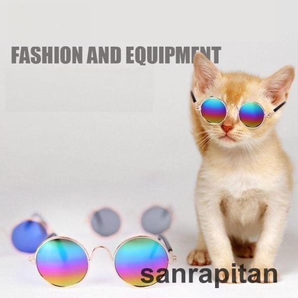 ネコ用の可愛いサングラス。遊び心のあるおしゃれ小物です -【サイズについて】画像をご参照ください。【素材について】合金他【補足説明】※ご利用時のご注意※普段からの行動や性格をお見極めいただき、安全にご使用くださいますようお願いいたします。