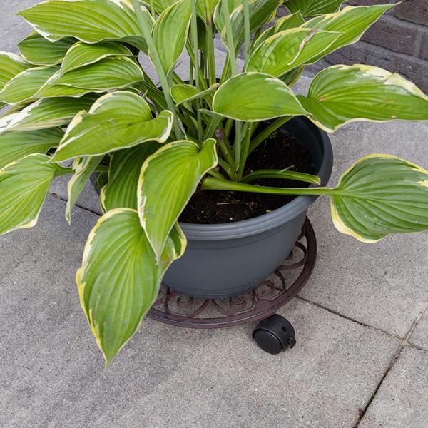 ■商品名：アイアンプランツトレー round M■商品コード：84670200植木鉢9号程度（Mサイズ）、積載量30kgまでの屋外用丸型植物トレー。キャスター付きなので、重い鉢植えもレイアウト自由自在です。キャスターは凹凸のある地面も移動し...