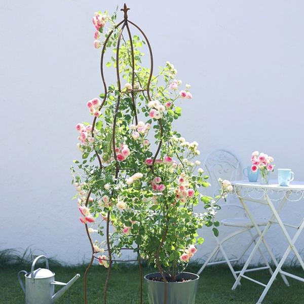 ■商品名：アンティークオベリスク ウェーブ■商品コード：84770900ゆるやかなウェーブラインはエレガントな雰囲気を醸し出すだけでなく、誘引ひもがずり下がるのを防ぐ機能も兼ね備えます。クレマチスやつるバラなど、つる植物の仕立てに活躍します...