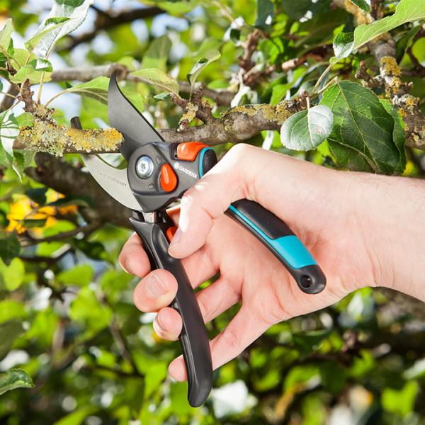 ■商品名：園芸用はさみ ハンドル調整可 切断径24mm■コード：98611800花、若い茎、緑枝だけでなく枝や大枝(直径24 mmまで)を切断できます。【商品詳細】サイズ：約幅21.5cm×奥行2.2cm×長さ6.3cm重量：約0.25kg...