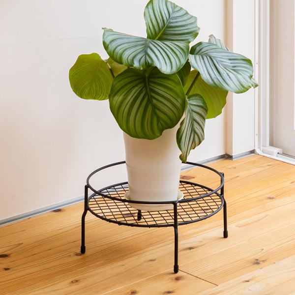 ■商品名：シンプルプラントスタンド ラウンド S■コード：98913300インテリアにも映えるプラントスタンド。フチがあるので鉢が落ちにくく、小さな鉢も置けるメッシュ構造。【商品詳細】サイズ：約幅34.5cm×奥行34.5cm×高さ15cm...