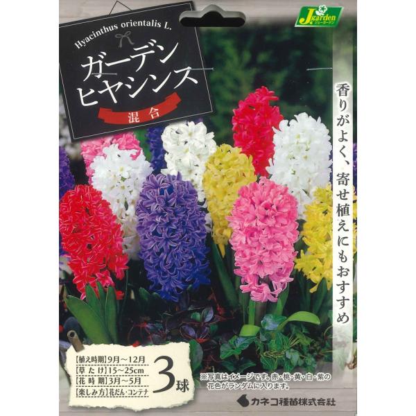 ★北海道・沖縄・その他一部地域への配送受付終了のお知らせ★大変申し訳ございません。こちらの商品は、北海道・沖縄・その他一部地域への配送が出来なくなりました。システム上、該当地域へのご注文は可能ですが、後程店舗が確認次第（受注確認のメール送信...
