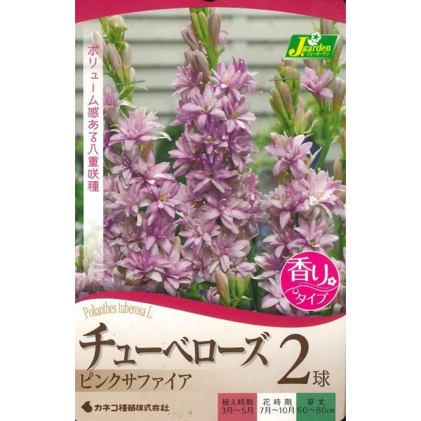 ●「チューベローズ 」別名「月下香」とも呼ばれ、芳香の花として有名です。・真夏の日差しがやや弱くなる夕方ごろから強い芳香を放ち、夜になっても香りが続きます。・ヨーロッパでは、香水の材料やレイの花として人気があります。●夏の夜によく香る花は、...