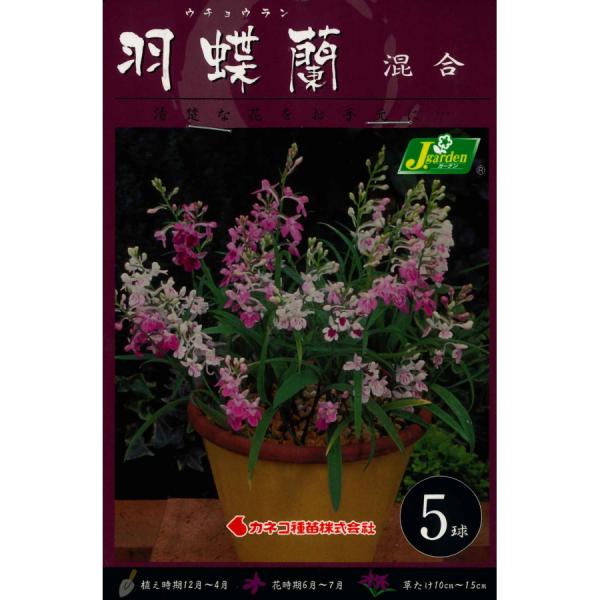 ★北海道・沖縄・その他一部地域への配送受付終了のお知らせ★大変申し訳ございません。こちらの商品は、北海道・沖縄・その他一部地域への配送が出来なくなりました。システム上、該当地域へのご注文は可能ですが、後程店舗が確認次第（受注確認のメール送信...