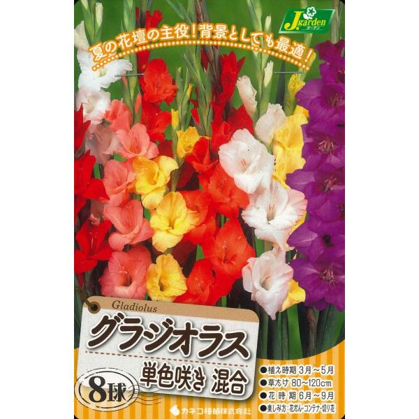 夏の暑い日ざしを浴びて色とりどりに咲き誇ります。夏空に映える情熱の花！●植え付け時期　3月〜5月  ●開花期  　　　6月〜9月  ●草丈　　　　　80〜120cm前後  ●主な用途　　　切り花　花壇　鉢植え　コンテナ●商品規格　　　レッテ...