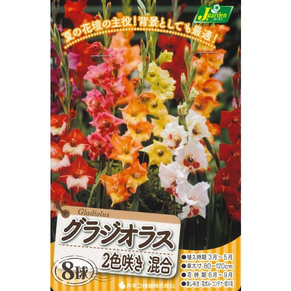 さわやかな色合いが人気♪鮮やかな2色咲き品種のミックス。豪華な花壇が手軽に出来上がるセットです。●植え付け時期　3月〜5月  ●開花期  　　　6月〜9月  ●草丈　　　　　80〜120cm前後  ●主な用途　　　切り花　花壇　鉢植え　コン...