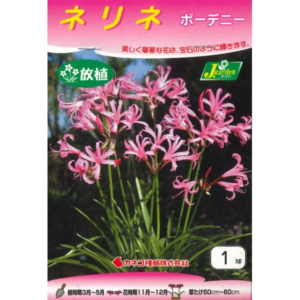 ★北海道・沖縄・その他一部地域への配送受付終了のお知らせ★大変申し訳ございません。こちらの商品は、北海道・沖縄・その他一部地域への配送が出来なくなりました。システム上、該当地域へのご注文は可能ですが、後程店舗が確認次第（受注確認のメール送信...