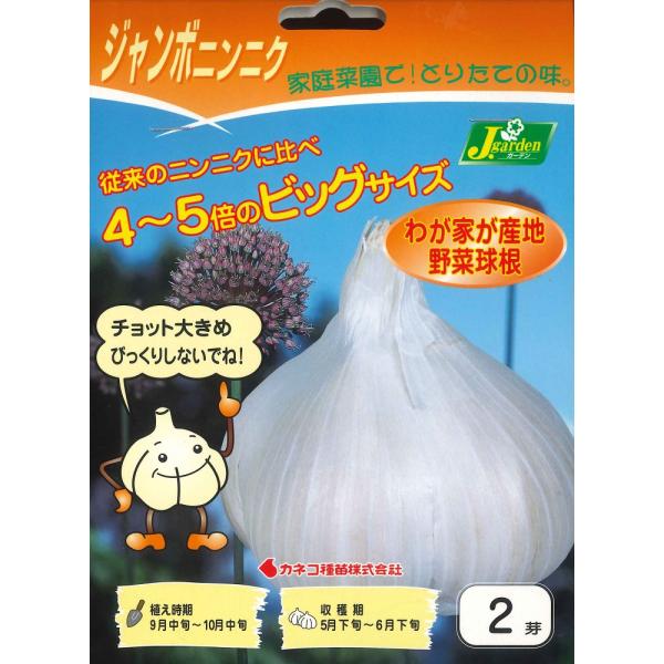 国産にんにく種子で従来の4〜5倍ビックサイズの、スーパージャンボニンニク！ちょっと大きめでびっくり?家庭菜園で簡単に栽培出来ます。疲労回復、夏バテ防止、冷え性の改善、血液サラサラ♪料理に入れて美味しいだけでなく、体にもイイにんにく♪食卓の名...