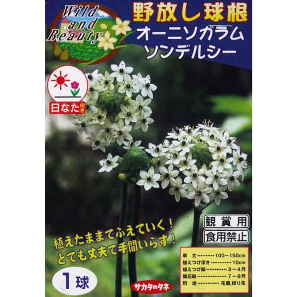 ★北海道・沖縄・その他一部地域への配送受付終了のお知らせ★大変申し訳ございません。こちらの商品は、北海道・沖縄・その他一部地域への配送が出来なくなりました。システム上、該当地域へのご注文は可能ですが、後程店舗が確認次第（受注確認のメール送信...