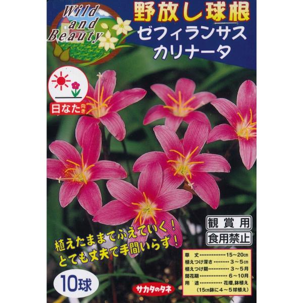 ★北海道・沖縄・その他一部地域への配送受付終了のお知らせ★大変申し訳ございません。こちらの商品は、北海道・沖縄・その他一部地域への配送が出来なくなりました。システム上、該当地域へのご注文は可能ですが、後程店舗が確認次第（受注確認のメール送信...
