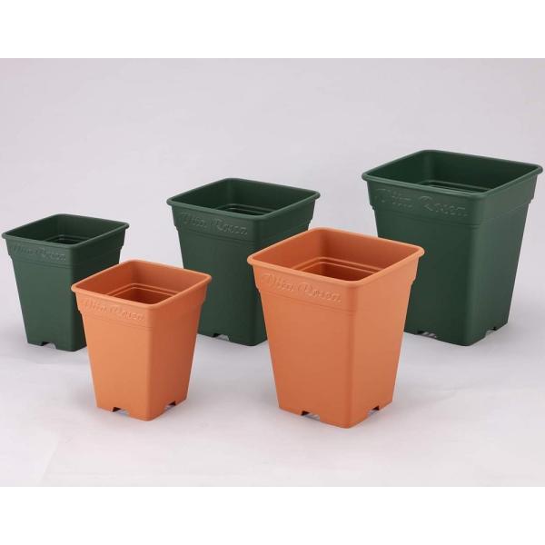 ★北海道・沖縄・その他一部地域への配送受付終了のお知らせ★大変申し訳ございません。こちらの商品は、北海道・沖縄・その他一部地域への配送が出来なくなりました。システム上、該当地域へのご注文は可能ですが、後程店舗が確認次第（受注確認のメール送信...