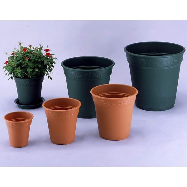 ★北海道・沖縄・その他一部地域への配送受付終了のお知らせ★大変申し訳ございません。こちらの商品は、北海道・沖縄・その他一部地域への配送が出来なくなりました。システム上、該当地域へのご注文は可能ですが、後程店舗が確認次第（受注確認のメール送信...