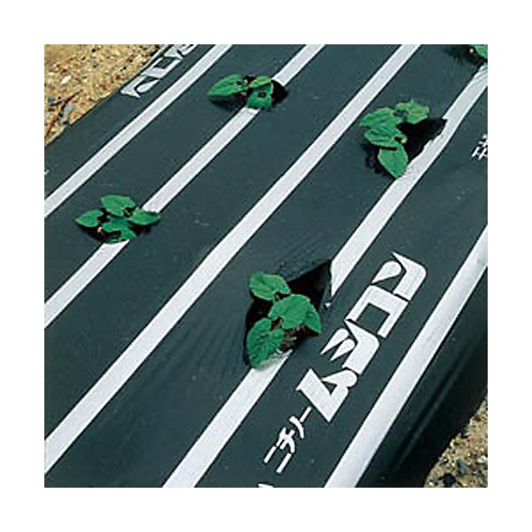 通常の黒マルチに８ｃｍごと銀色のラインが入っています。銀色の反射でアブラムシを寄せ付けません。又、アブラムシによるウイルス病もふせげます。その他の害虫としてウリバエ、キスギノミハムシなどにも大変有効です。●特徴●黒いシートに銀色のストライプ...