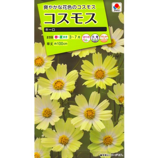 ライトイエローを中心にした花色で濃淡があり、ピンク味の花色も出現して涼しげな雰囲気。よく枝分かれして多数開花する。可憐な花のイメージとは対照的に丈夫で直まきでもよく育ち、初めてでもタネから簡単に育てられる。