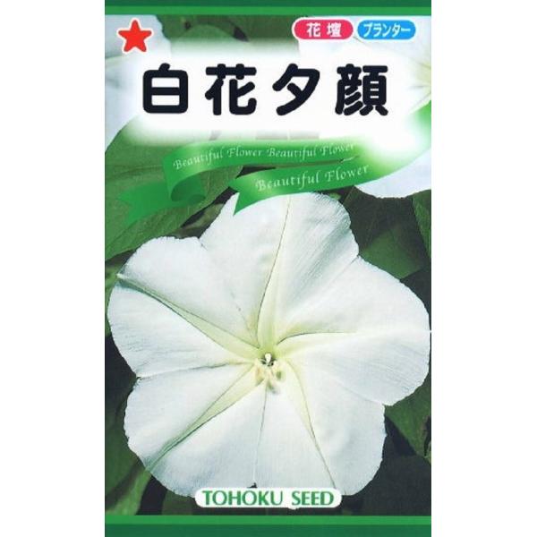 夏の夕方から早朝まで、芳香のある大きな純白の花を咲かせる魅力的で趣のある花。旺盛につるをのばすのでグリーンカーテンにも適します。 この種子は在来種です。
