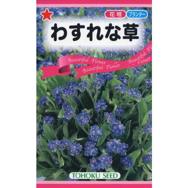 清楚なイメージの可憐な小さな青い花が群がるように咲きます。<br>チューリップなど春の色とりどりの花のベースカラーとして重宝する草花です。<br>品種名：ドワーフバスケット