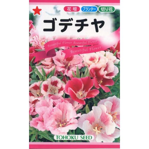 花びらが薄く、透明感のある絹のような光沢を持つ美しい花です。花数が多く、株いっぱいに花をつけてくれます。水はけの悪いところでは根ぐされを起こすので、心配な方は鉢植えにすると失敗が減ります。