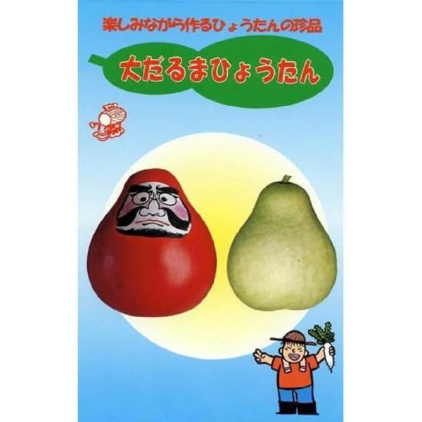だるま形の極めて珍しいひょうたんで、直径30cmに達する大型種です。外皮は極めて硬く堅牢で、室内装飾品、花器などに加工すれば高級品が出来ます。