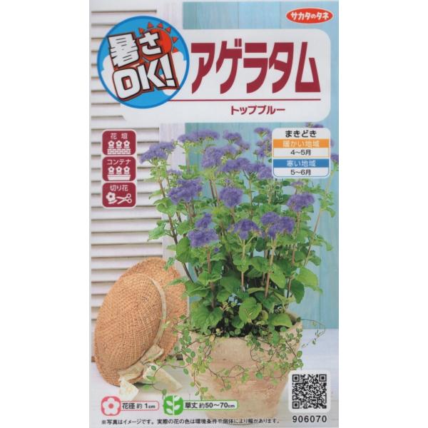 切り花向きに改良された品種で花もちよく、さわやかなブルーは夏向きです。草丈約50〜70cm、分枝が多く多花性で開花期も長く、コンテナや花壇にも適します。