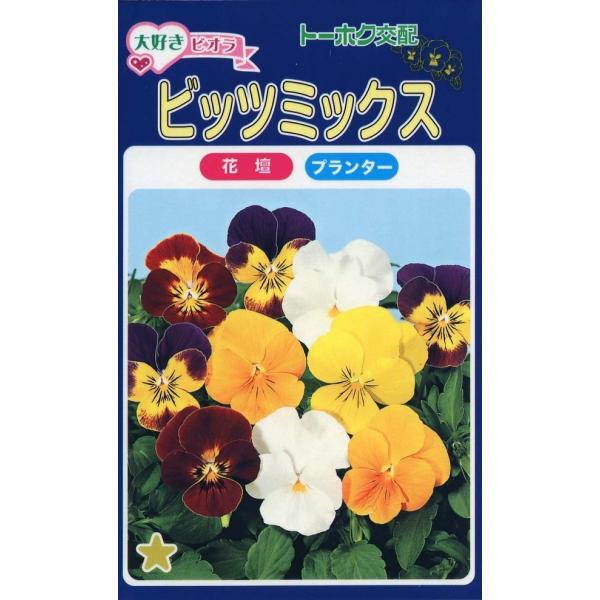 ビオラの中でも上品で可愛い暖色系のスタンダードミックス。寒さに強く、旺盛な花付きで秋から翌年の初夏まで咲き続けます。品種名：ビッツホワイト、ビッツイエロー、他中間色の混合