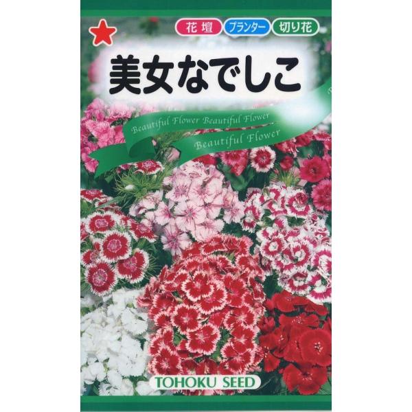 寒さに強く、性質も非常に強健で育てやすい品種です。芳香性があるので香りも楽しめます。やや矮性です。