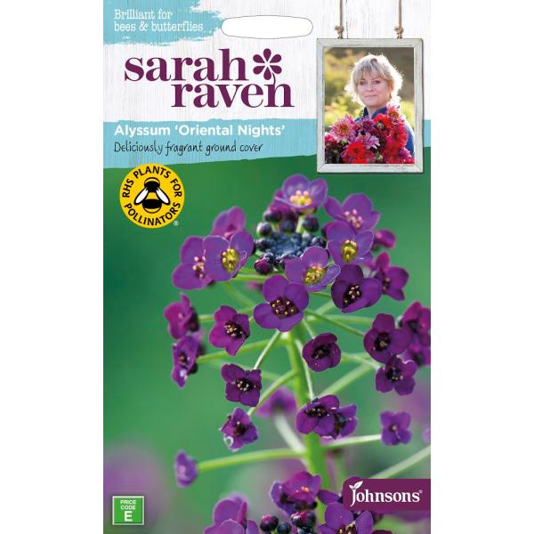 期限切れ（2026年12月）間近のため売り尽くしセール！ハチミツの香りのテーブルセンターポット、小道の縁取り、初夏の花壇ディスプレイに最適です。花粉媒介植物のスターです。