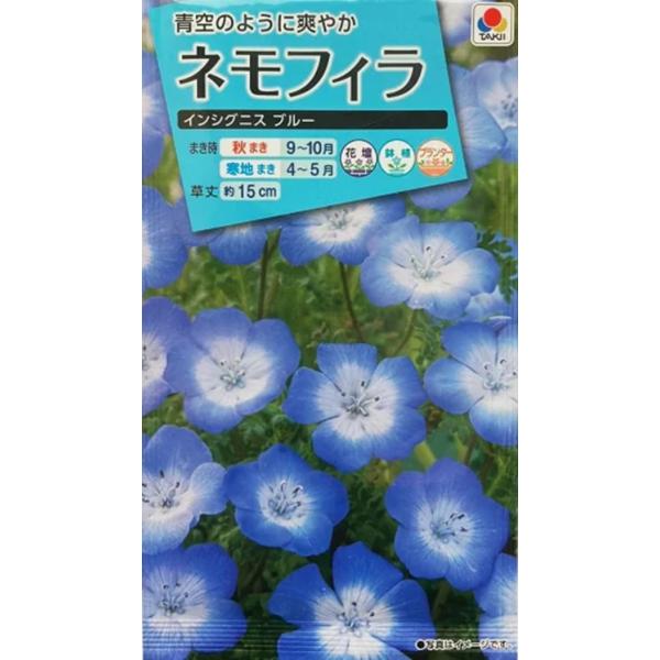 早春から目も覚めるような澄みきったブルーで、花径約2cmの小花を多数咲かせます。やせ地でもよく株の張る、作りやすくて人気のある花です。