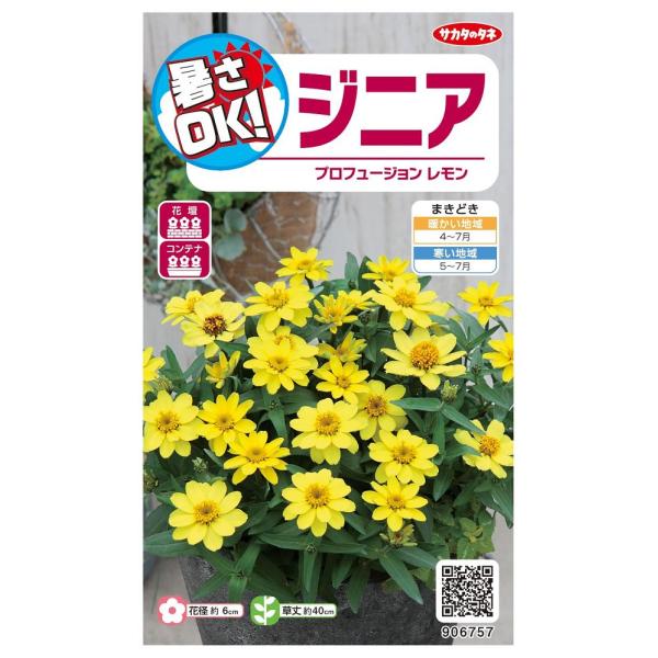 サカタのタネ育成の品種。生育旺盛で暑さや病気に強く、多花性なプロフュージョンシリーズ。花径約6cmさわやかなレモン色の花が夏から秋まで咲き続けます。品種名：SAKZIN016