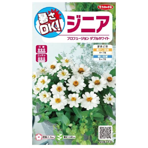 サカタのタネ育成の品種。生育旺盛で暑さや病気に強く、多花性なプロフュージョンシリーズ。花径約6cmの半八重咲きタイプで白色の花が夏から秋まで咲き続けます。品種名：SAKZIN009