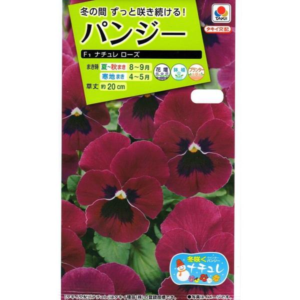 期限切れ（2026年4月）間近のため売り尽くしセール！花径3〜4cmの小輪品種で、秋から初夏まで長期間、沢山の花を楽しめます。パンジーの豊富な花色とビオラの長期開花をあわせもつガーデニング好適種です。
